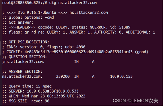 【seedlabs】local Dns Attack Lab Csdn博客