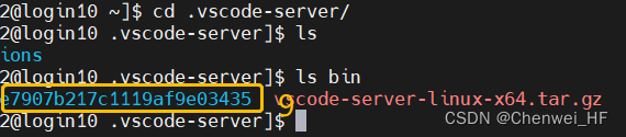 VS code ssh 远程连接超算_并行超算云服务 远程连接-CSDN博客