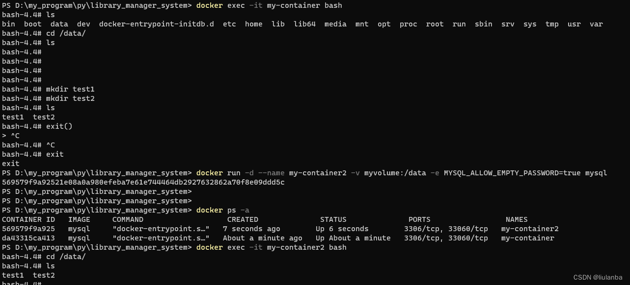 docker的挂载和数据卷_docker mount-CSDN博客