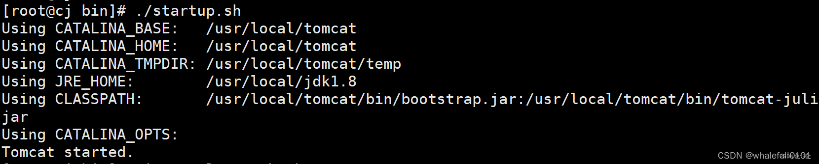 Tomcat启动报neither The Javahome Nor The Jrehome Environment Variable 