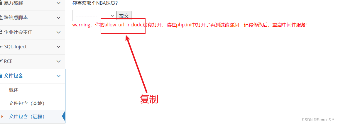 文件包含漏洞 Csdn博客