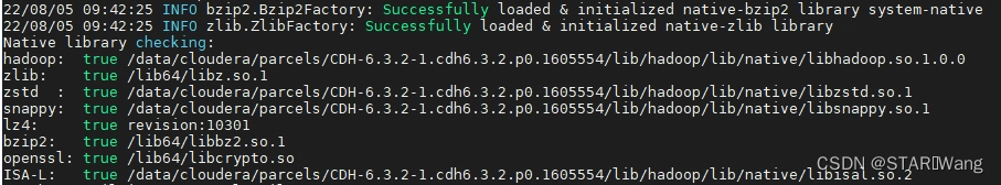 写hbase异常native snappy library not available: this version of lib hadoop ...
