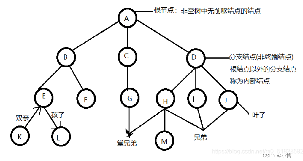 数据结构，树如下图所示节点b的度为 整棵树的度为 节点m是节点d的 。 Csdn博客 