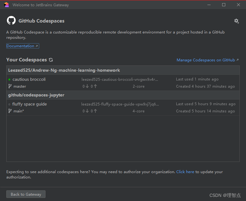 github codespace 使用jetbrain gateway开发_jetbrains gateway使用-CSDN博客