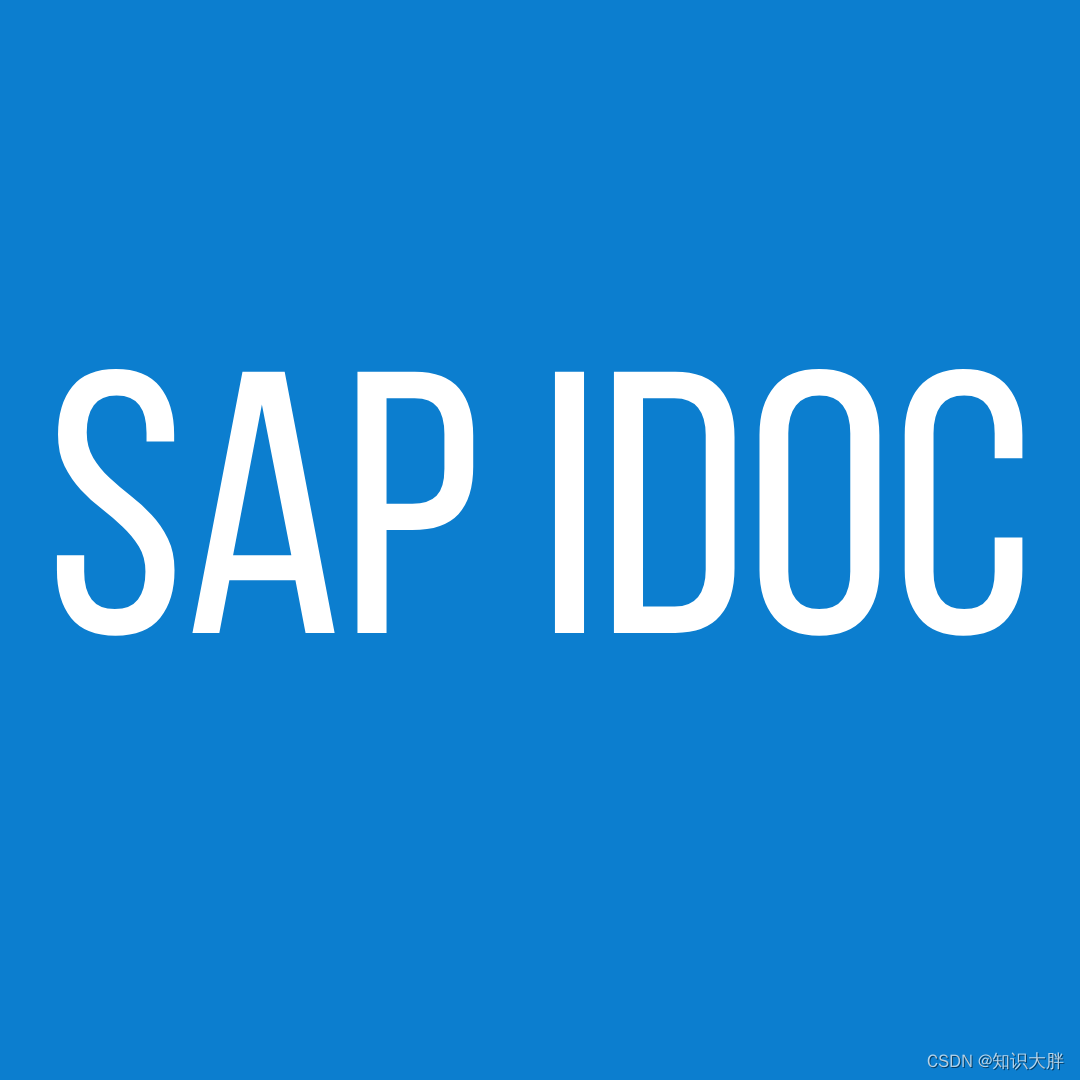 SAP 教程之 SAP 中的 IDOC_sap idoc-CSDN博客
