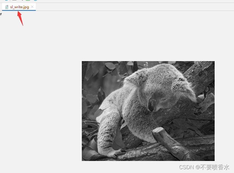 Opencv 图像读写(java版)imgcodecsimread Csdn博客
