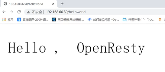 高性能web平台【OpenResty入门与实战】_openresty web-CSDN博客