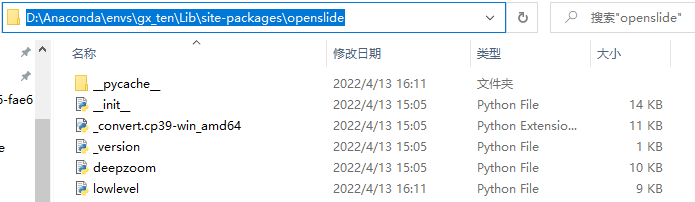 win10+anaconda+python3.8虚拟环境中openslide包的安装全记录_anaconda虚拟环境中openslide安装过程记录-CSDN博客