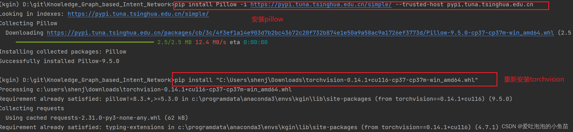 Python安装torchvision报错，没有合适版本的pillow！！！！_torchvision 0.11.3 has ...