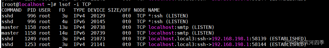 【Linux】进程管理命令（ps， lsof ，kill pkill killall，vmstat）_linux进程管理命令-CSDN博客