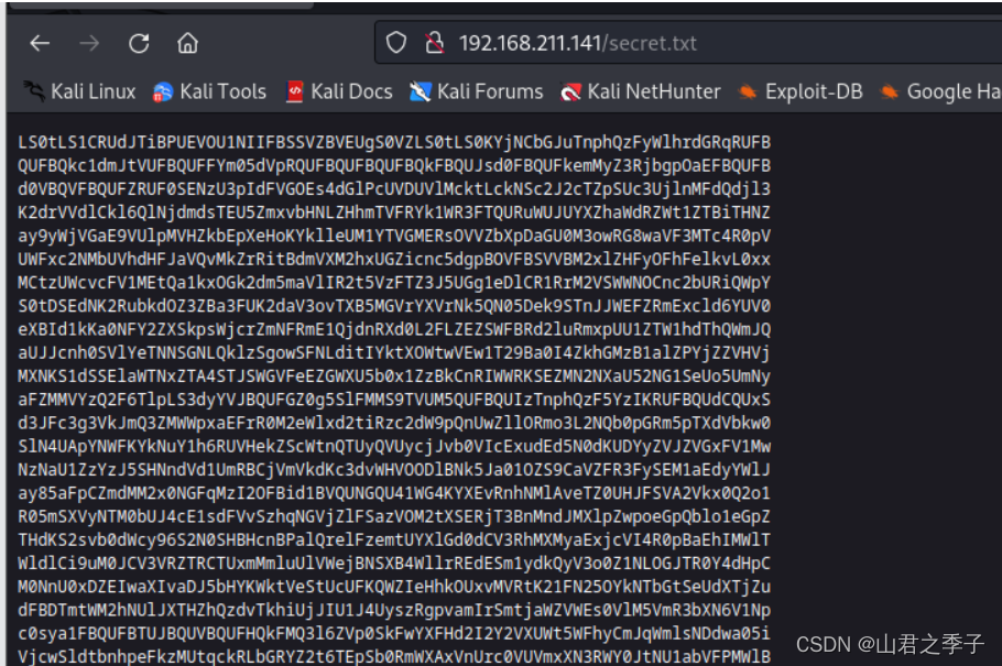 oscp靶机教程_oscp靶场下载-CSDN博客