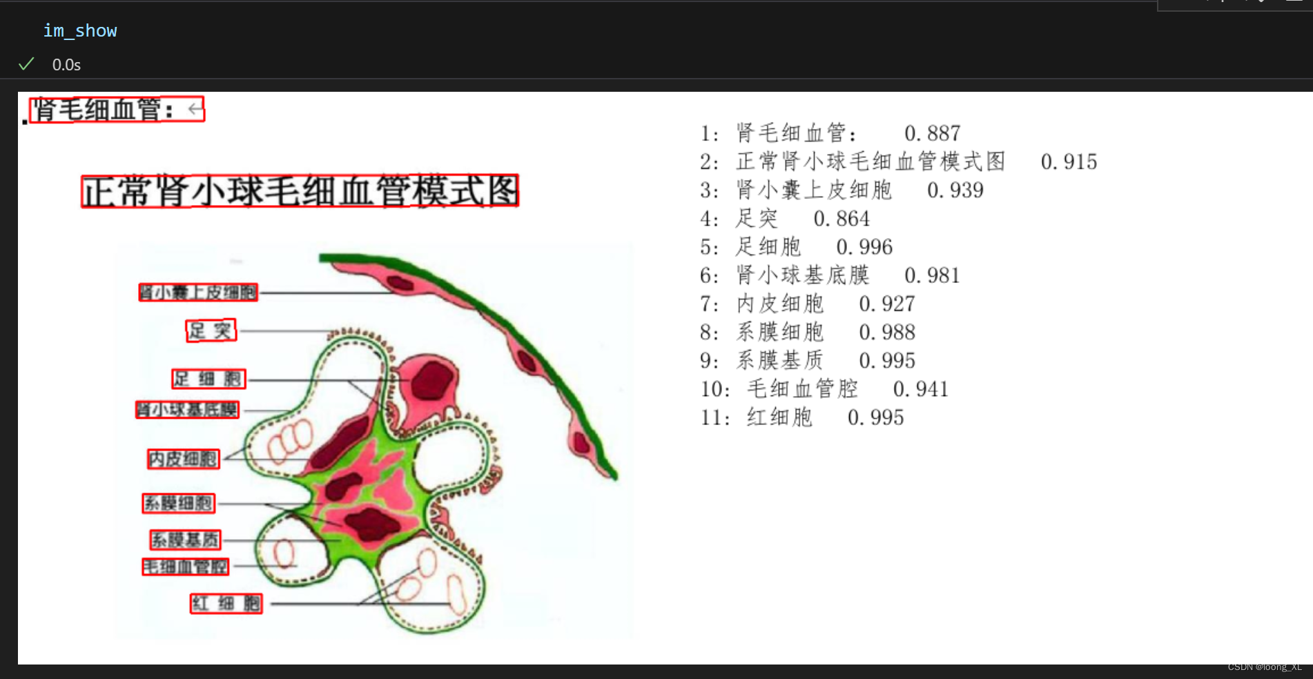 OCR 文字识别easyocr；paddleocr 使用_easyocr识别太慢_loong_XL的博客-CSDN博客