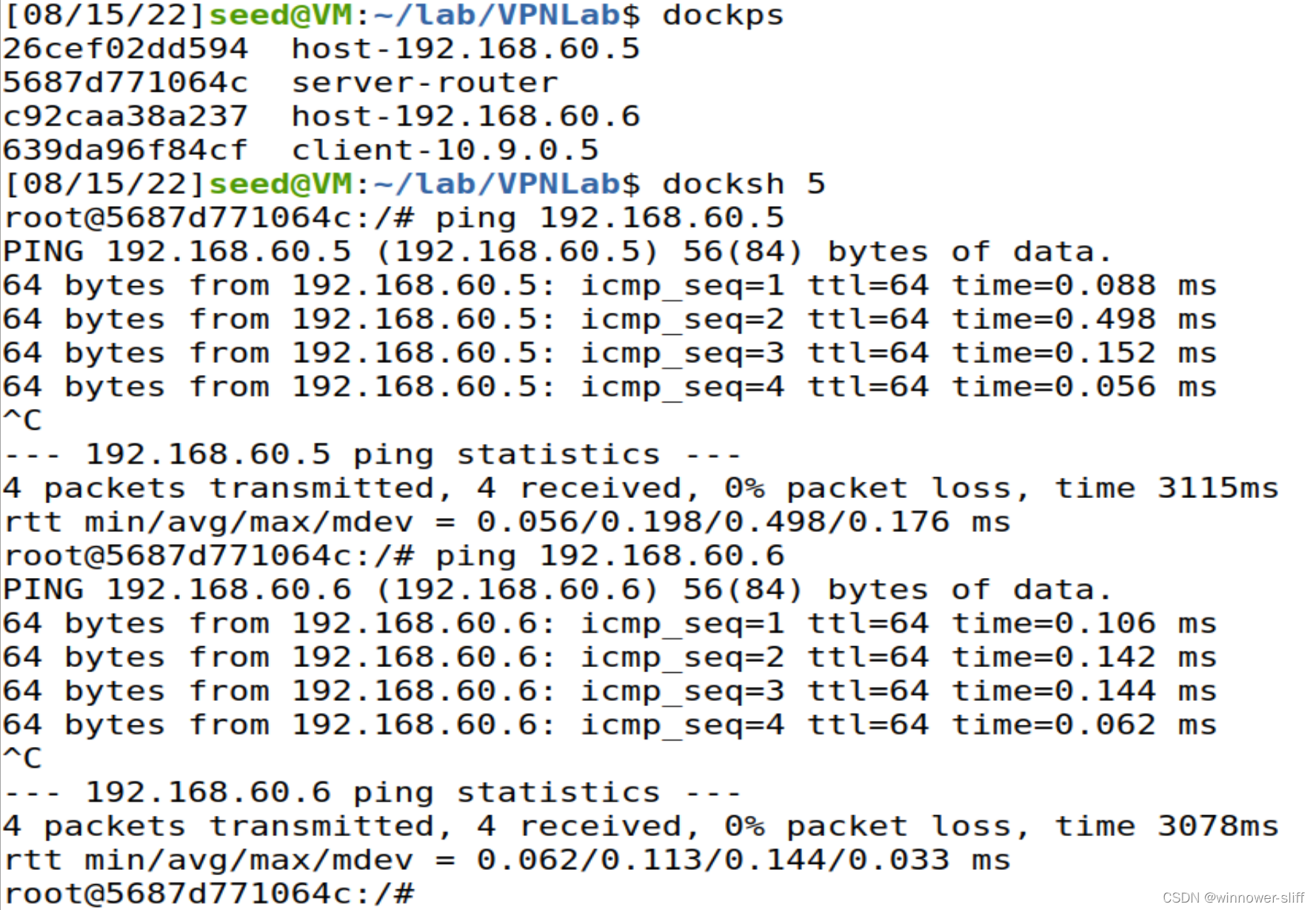 V*N Lab: The Container Version(SEED Labs)_seedlab:virtual private network lab-CSDN博客