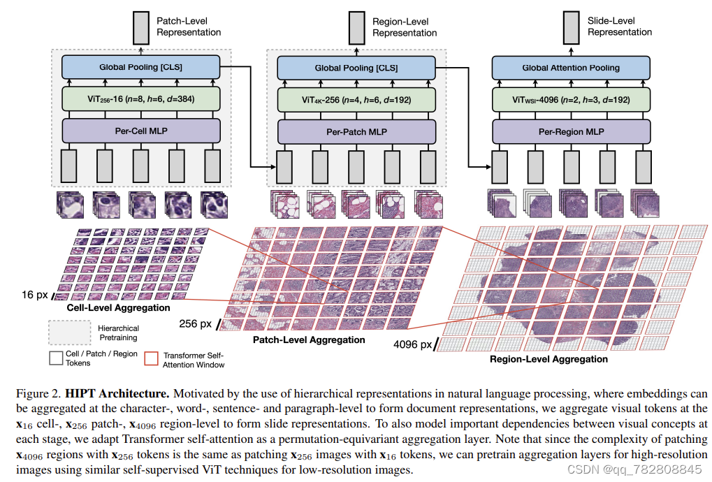 （WSI分类）WSI分类文献小综述_scaling vision transformers to gigapixel images vi-CSDN博客