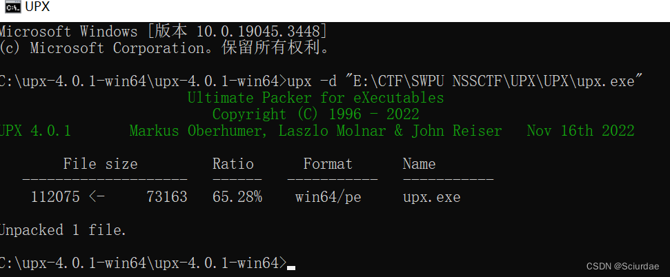 2023年SWPU NSS 秋季招新赛 CTF Reverse‘方向WP详解_[swpuctf 2023 秋季新生赛]junk code-CSDN博客