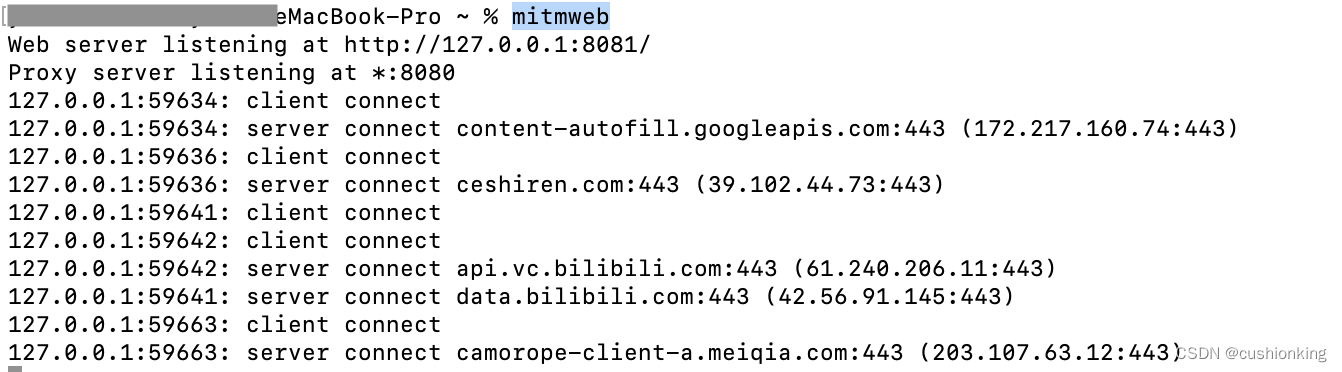 mitmproxy_mitmproxy社区-CSDN博客