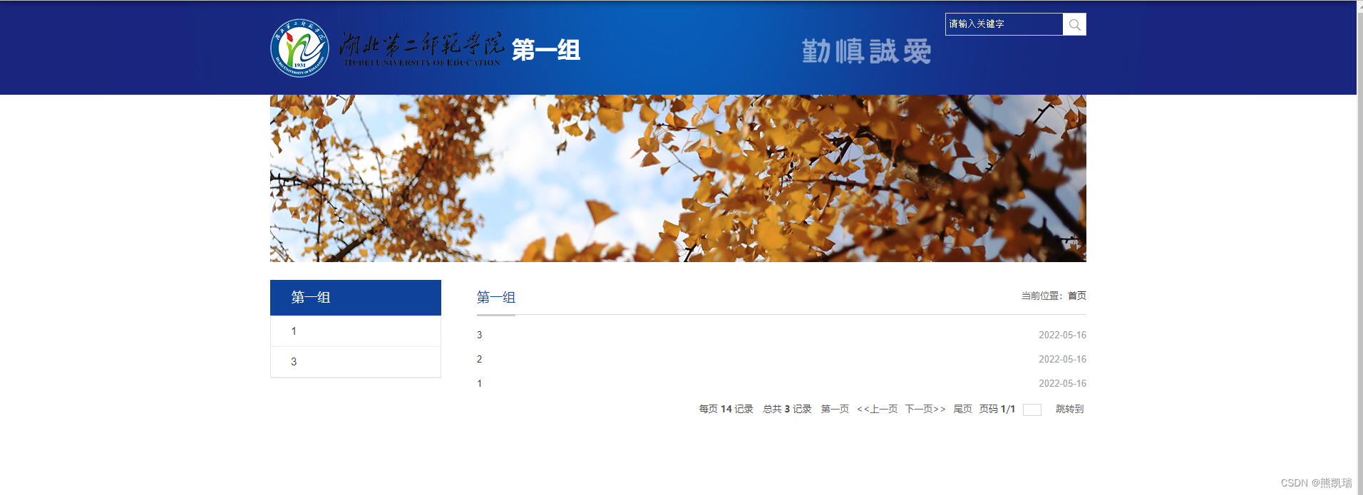 WebPlusPro平台之（5）模板管理再探讨_webplus pro 特殊页-CSDN博客