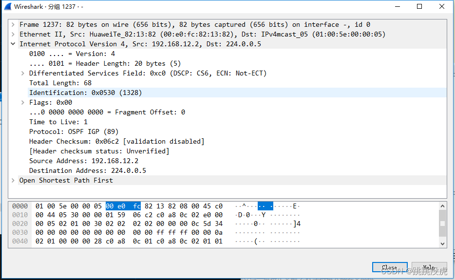 OSPF数据库、Hello包解析_ospf hello报文-CSDN博客