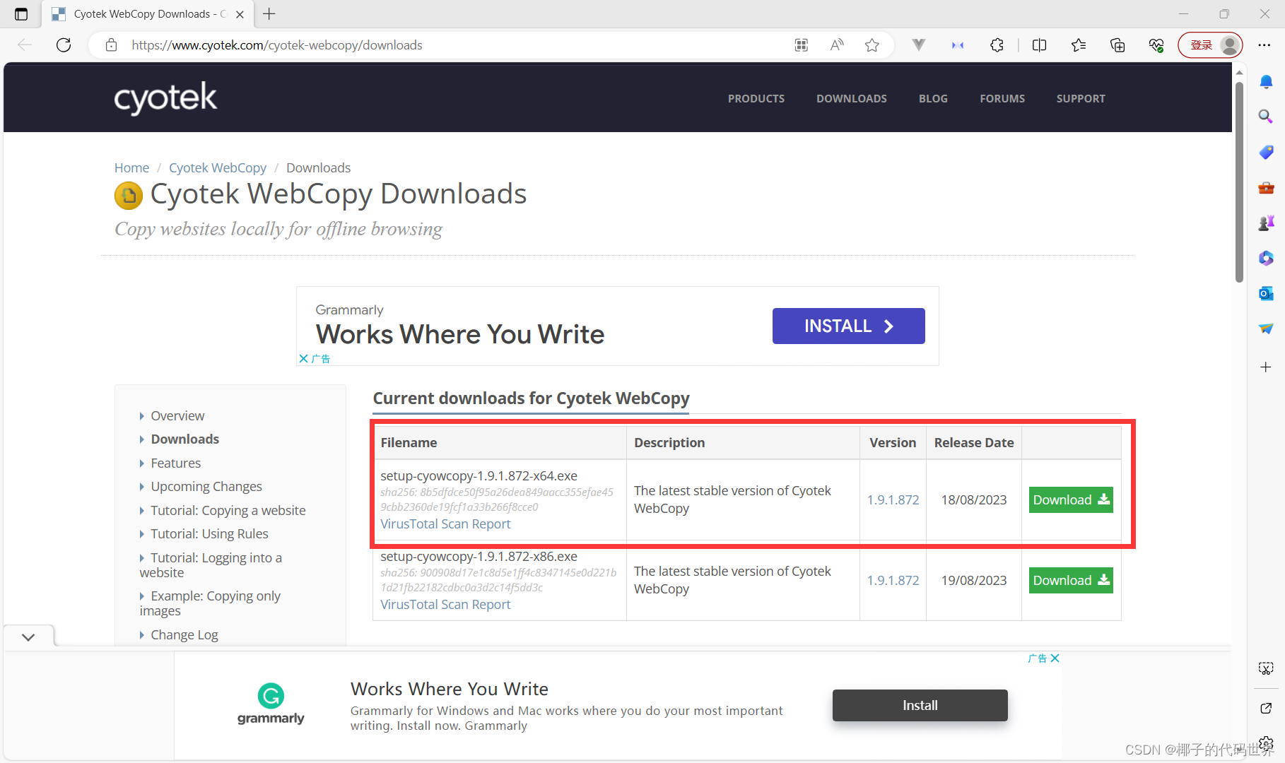 Cyotek WebCopy_1.安装Cyotek WebCopy-CSDN博客