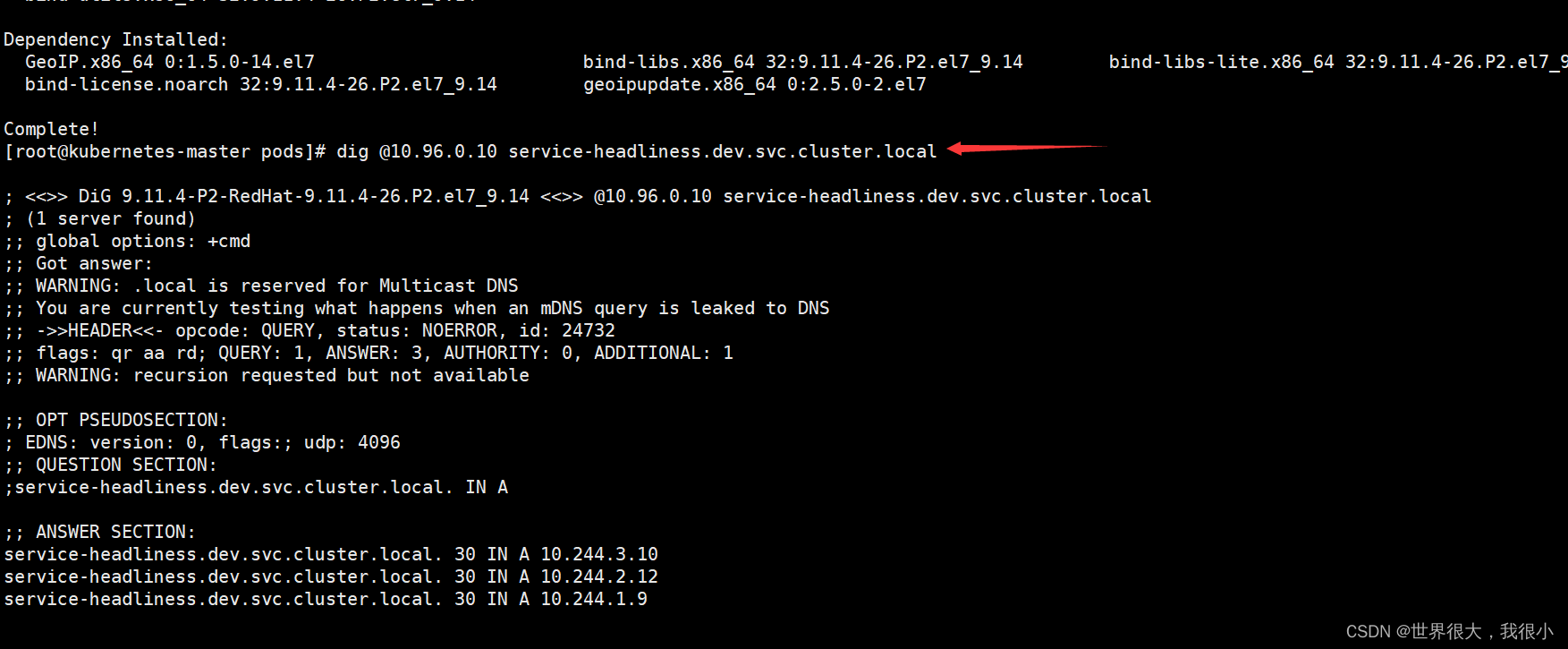 Linux中yum、dnf、rpm_dnf yum-CSDN博客