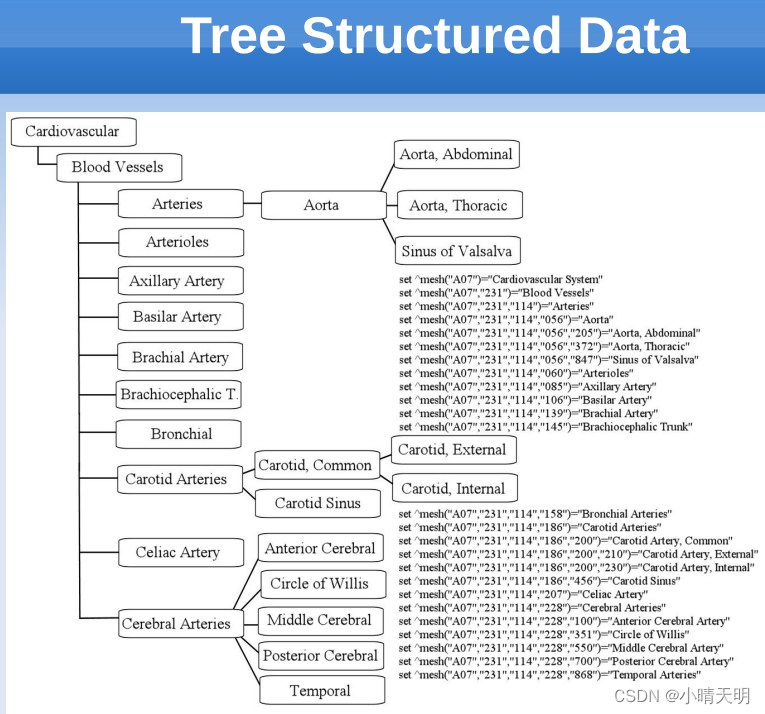 MUMPS入门+Caché学习记录_mumps语言-CSDN博客