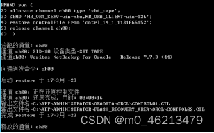 Windows2014使用NBU备份实现Oracle11g本地恢复和异地恢复-CSDN博客