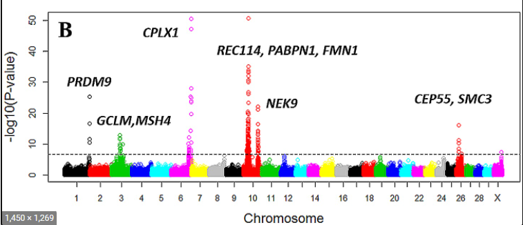 GWAS可视化1 | QQ图和曼哈顿图是嘛意思？_quantile-quantile plot gwas-CSDN博客