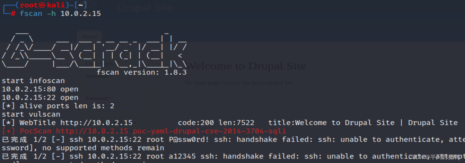 内网主动信息收集之使用fscan进行漏洞扫描_fscan命令-CSDN博客