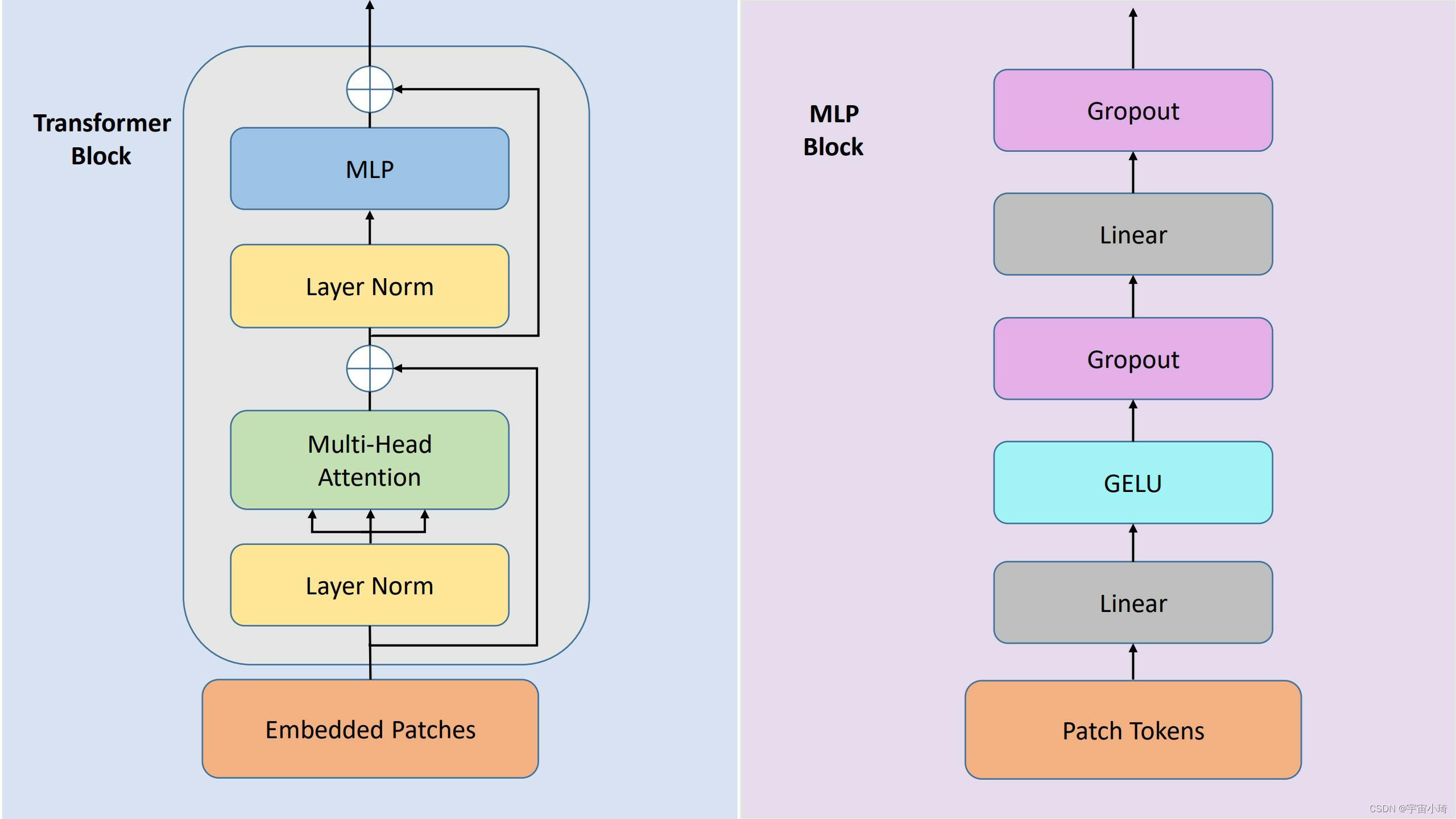 TS-CAM: Token Semantic Coupled Attention Map for Weakly Supervised Object Localization-CSDN博客