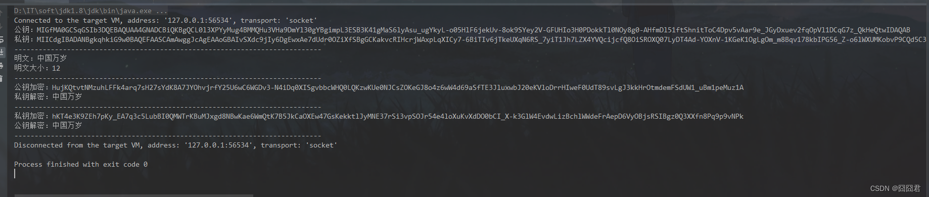 Java之rsa非对称秘钥java Privatekey Csdn博客 
