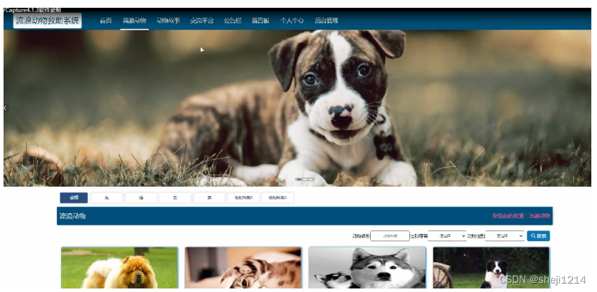 [附源码]Python计算机毕业设计SSM流浪动物救助系统（程序+LW)_动物救济系统目标及基本要求-CSDN博客