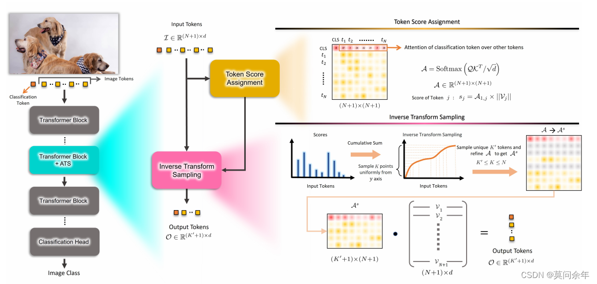 Token裁剪总结_class token-CSDN博客