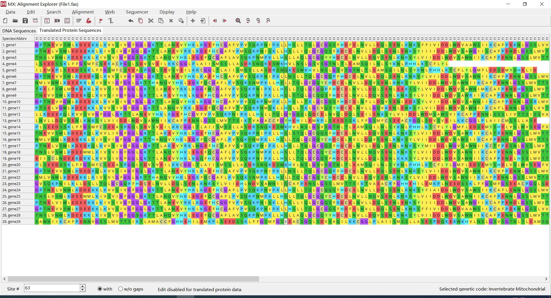利用MEGA做序列比对-CSDN博客