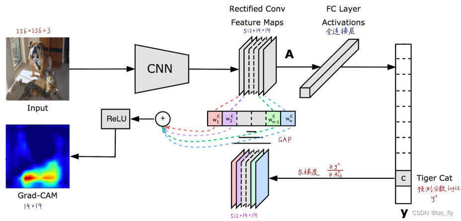 CAM和GradCAM_grad-cam和cam-CSDN博客