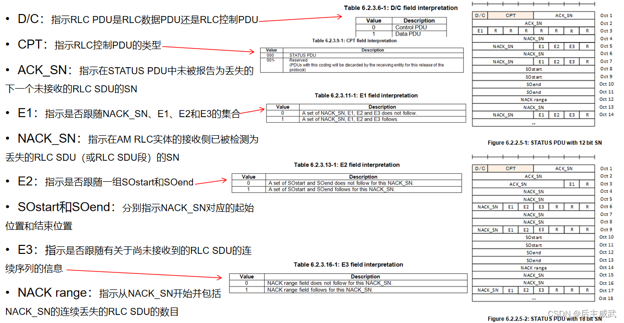 NR RLC协议-CSDN博客