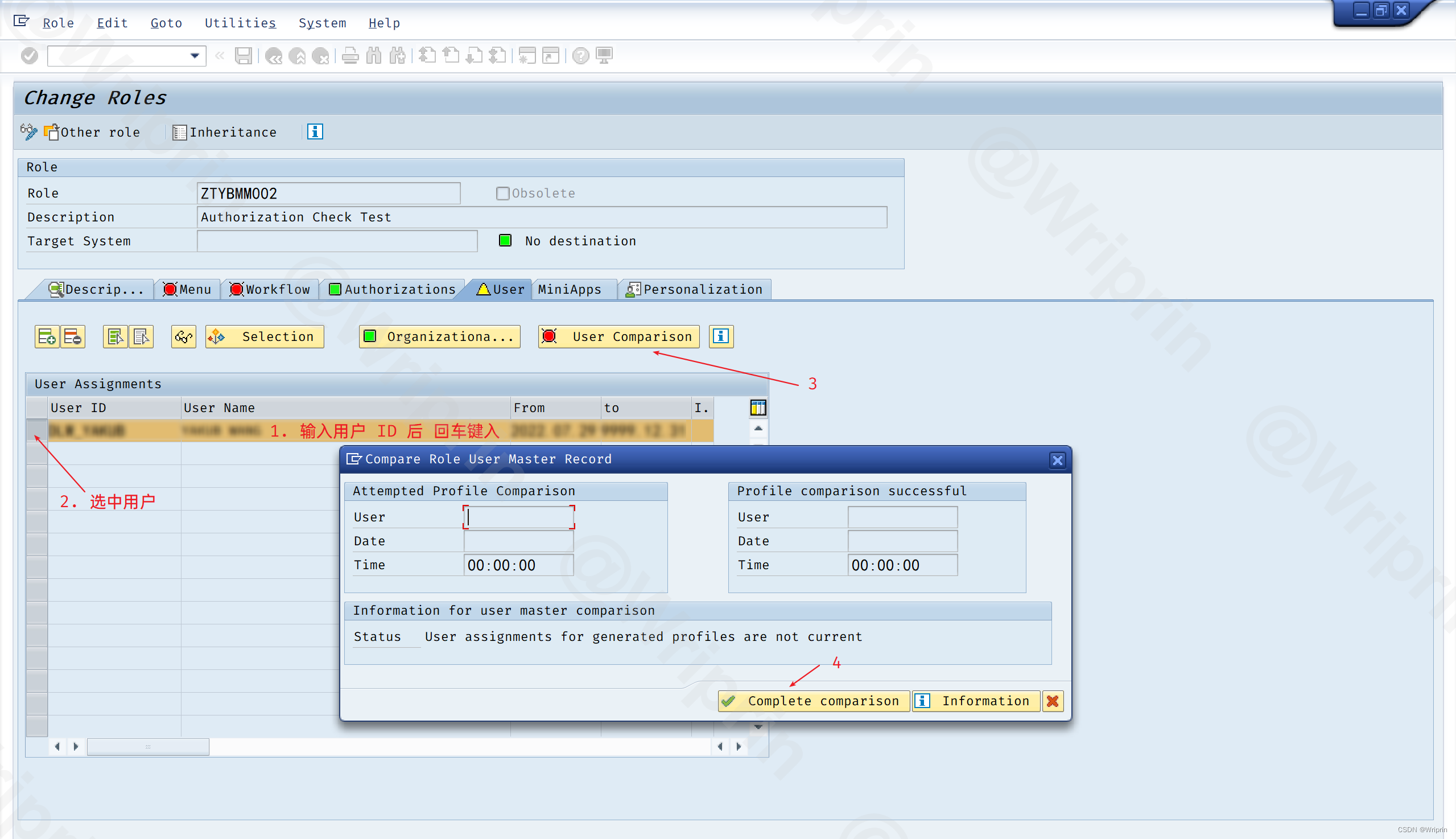 SAP 权限分配 & 审核「实例」_se38 调权限-CSDN博客