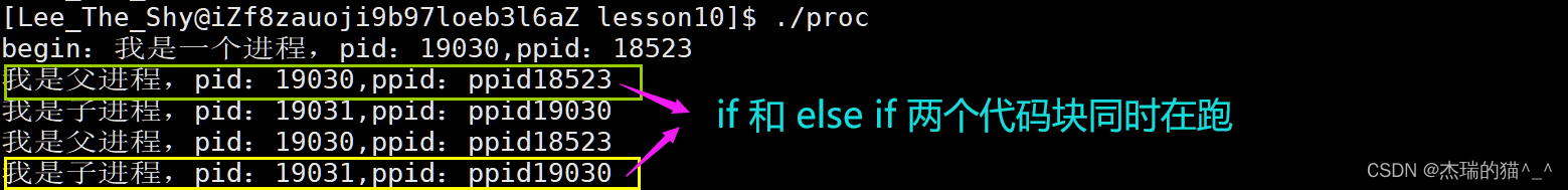 【Linux】fork父子进程简单理解_linux fork 子进程 父进程-CSDN博客