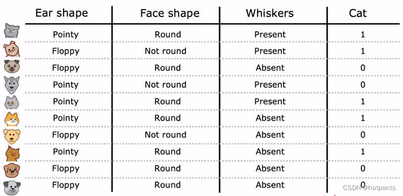【吴恩达机器学习笔记】Part2-Week4（上） 决策树（Decision Trees）_决策树 吴恩达-CSDN博客