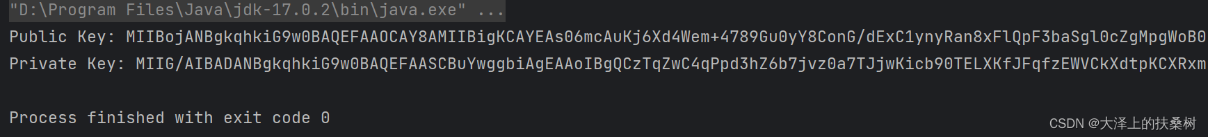 RSA密钥对生成工具代码_rsa3072面签码生成工具-CSDN博客