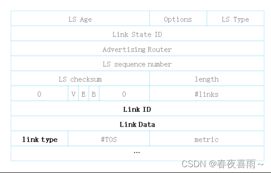 OSPF→_ospf mtu-CSDN博客