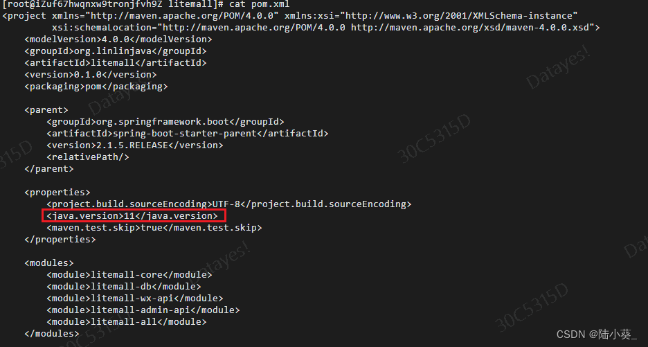 搭建docker+sonarqube并使用scanner、maven分析项目_failed to execute goal org ...