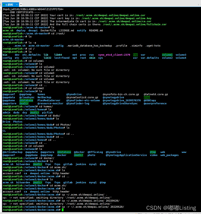 【群晖】命令行 acme.sh 自动申请域名证书_群晖acme证书-CSDN博客
