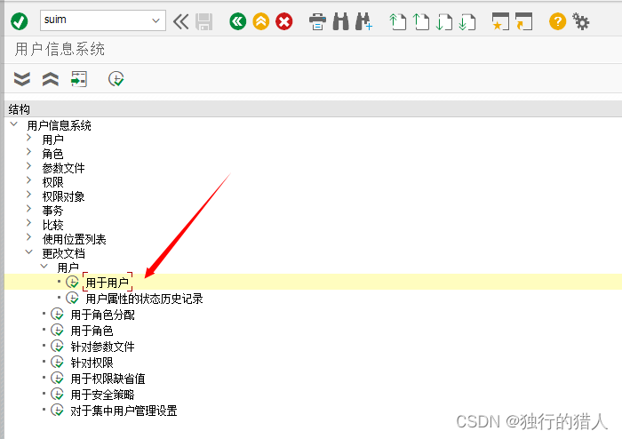 SAP ABAP 用户密码更改记录_sap 修改用户密码-CSDN博客