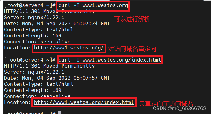 Lnmp架构之web服务器实战-CSDN博客