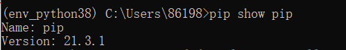 虚拟环境中查看python和pip版本_查看虚拟环境的python版本-CSDN博客