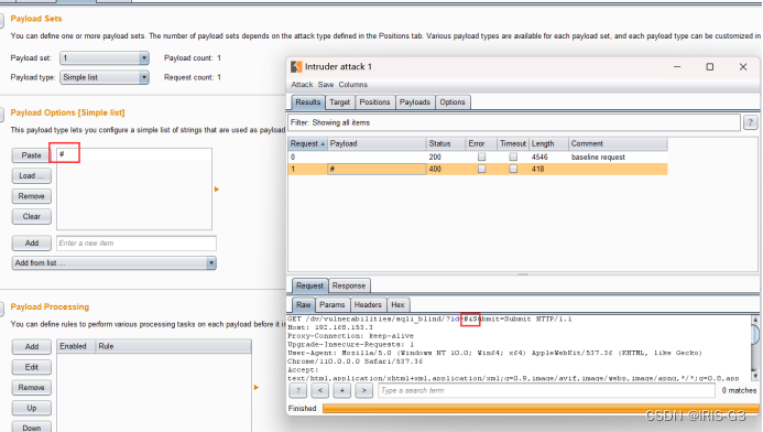 burpsuite 由一个#引发的400错误（intruder attack）_burpsuite渗透状态400是否含有漏洞-CSDN博客