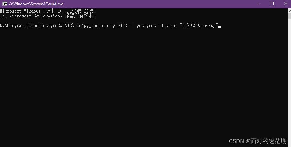 Postgresql还原backup数据库文件pg还原backup文件 Csdn博客