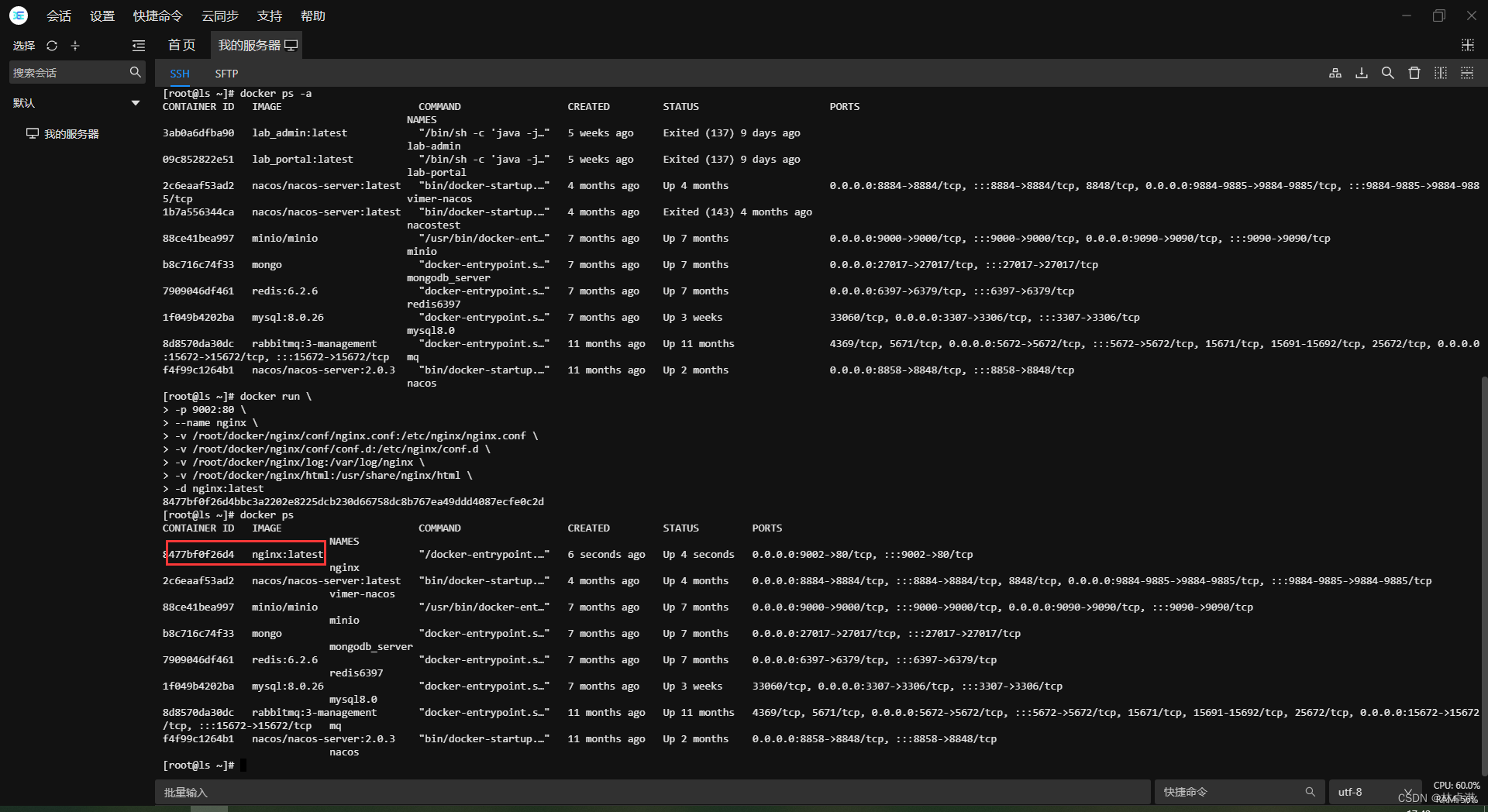 Docker安装nginx详细教程 Csdn博客