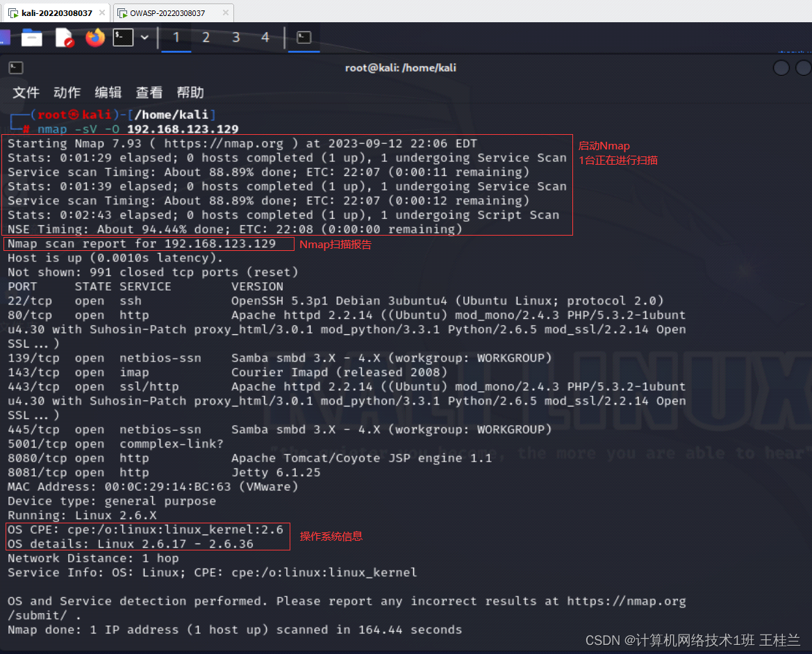 Web被动与主动信息收集_web 被动接收-CSDN博客