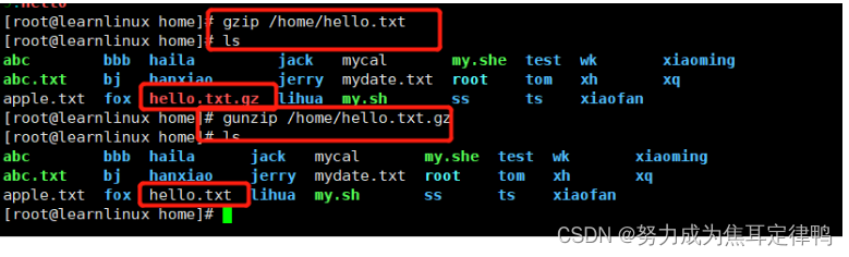 Linux时间日期指令date查找指令findlocategrep压缩和解压指令gzipgunzip；zipunzip；tar内含详细解释操作实例linux 